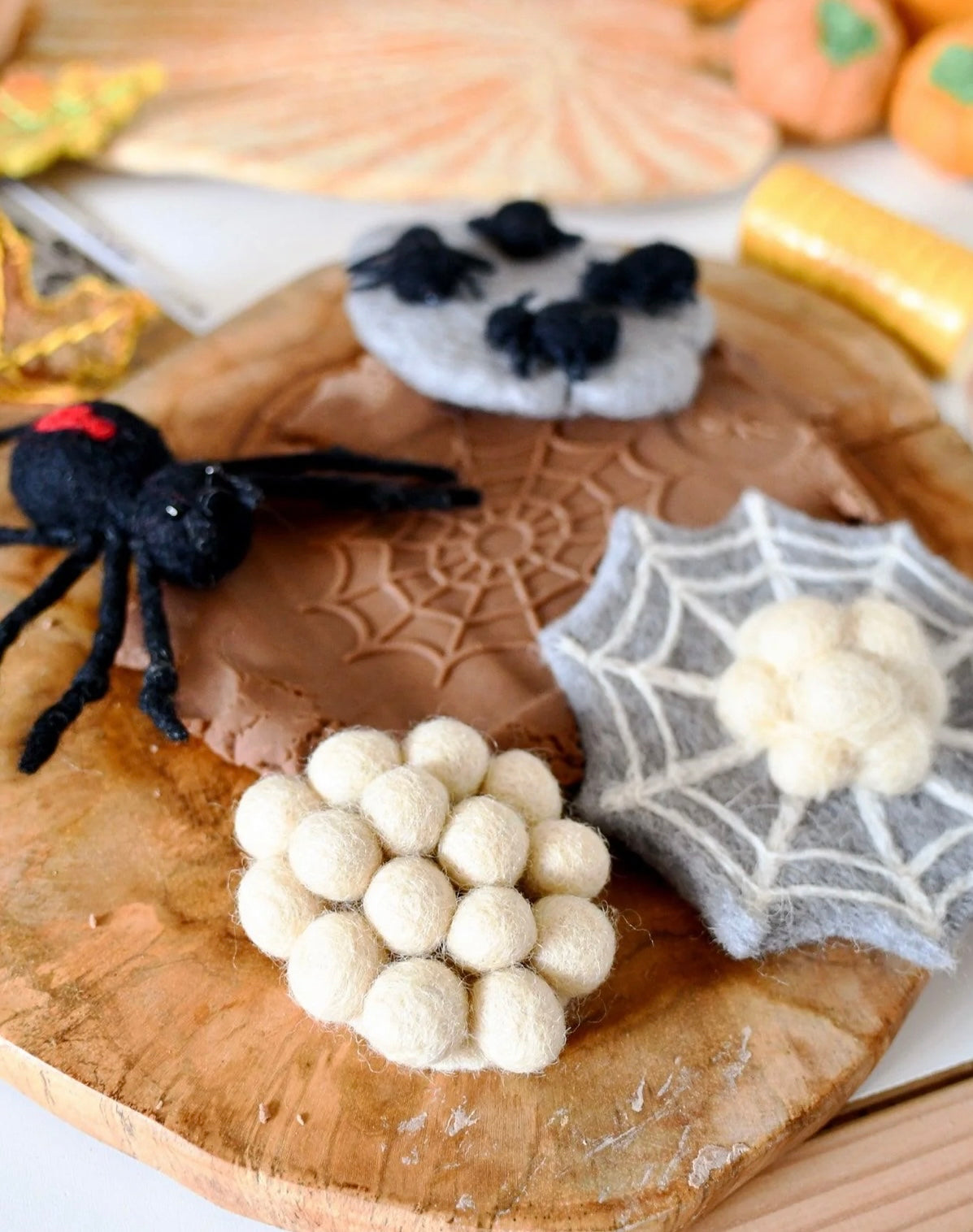 Educational Spider Life Cycle Toy - Kismet Toys